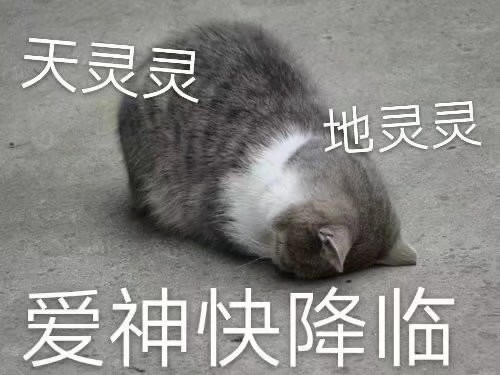 【半是蜜糖20】上药 罗莎莉最新章节 免费小说 全文免费阅读 罗莎莉作品 话本小说网