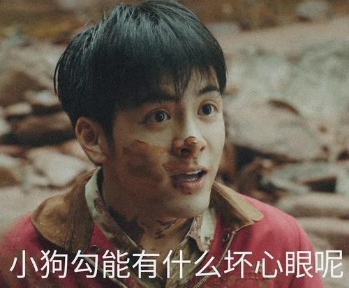 终极笔记59 综影视:星河万里 话本小说网