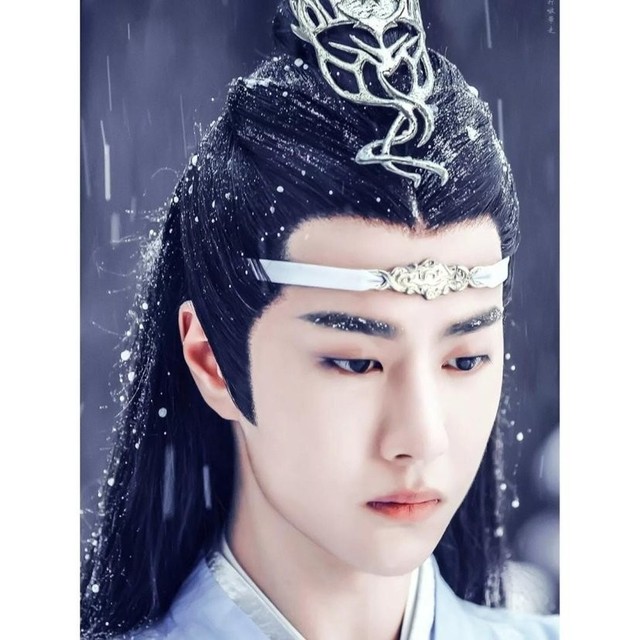 陈情令6(收藏破五百加更) 离野草最新章节 免费小说 全文免费阅读 离野草作品 话本小说网
