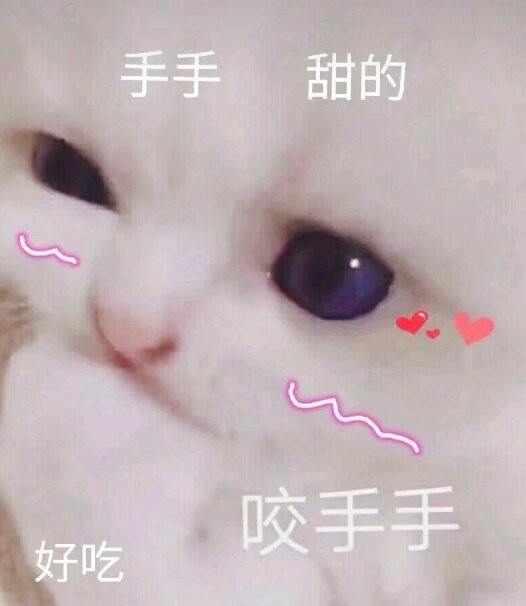可以打个赏嘛 凹凸世界——神秘的艾比 话本小说网