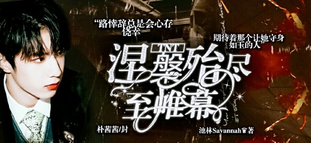 黑暗一套tnt涅槃殆尽至帷幕 Jmyz封面铺（出单快） 话本小说网