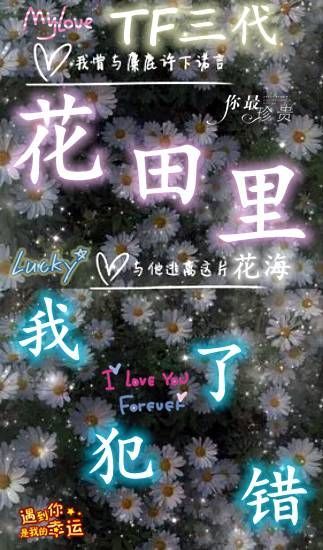 封面设计投票 Tf三代:师妹是总裁?! 话本小说网