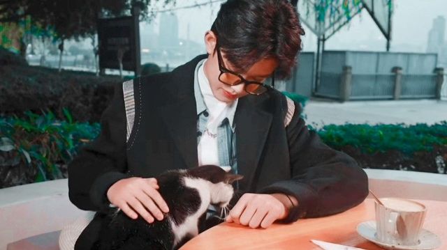 猫猫 林潼兒最新章节 免费小说 全文免费阅读 林潼兒作品 话本小说网