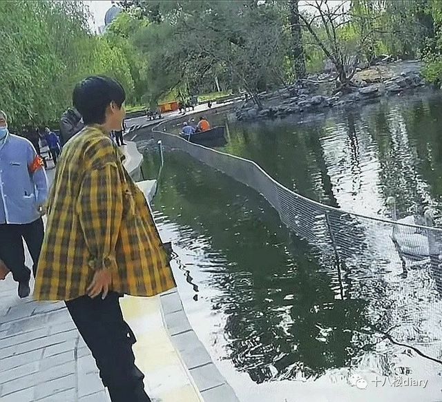 祝姚昱辰生日快乐 姜木鲤最新章节 免费小说 全文免费阅读 姜木鲤作品 话本小说网
