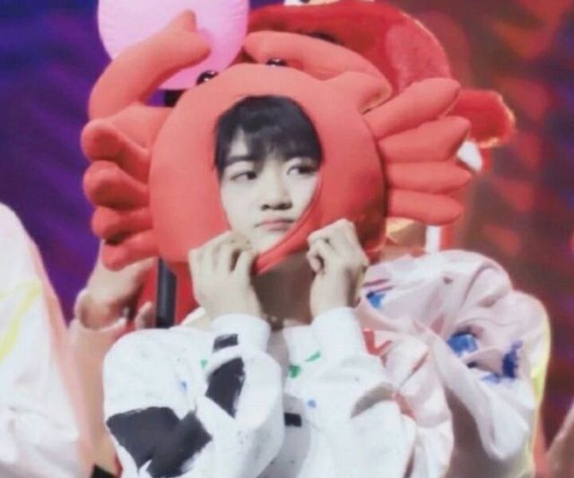 邓佳鑫生日快乐! 帅帅师帅帅帅帅师帅最新章节 免费小说 全文免费阅读 帅帅师帅帅帅帅师帅作品 话本小说网