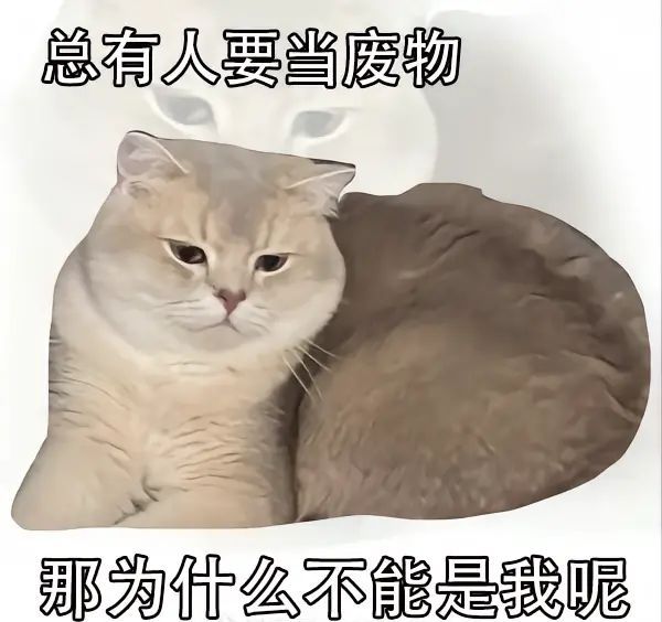 他才没有同意(鲜花加更) 滨鸢最新章节 免费小说 全文免费阅读 滨鸢作品 话本小说网