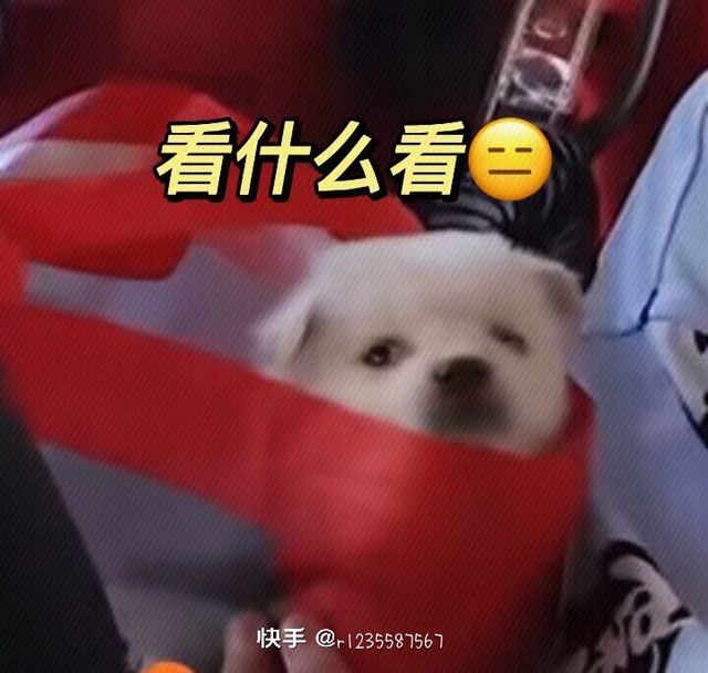 无题 喝口双子星最新章节 免费小说 全文免费阅读 喝口双子星作品 话本小说网