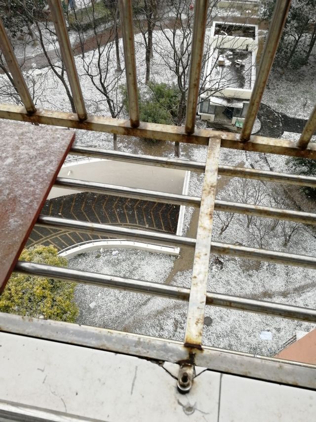 第三章:欺凌 陌玖暮落最新章节 免费小说 全文免费阅读 陌玖暮落作品 话本小说网