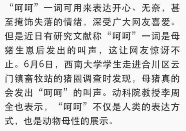 你们真磕错了 林夕羽yu最新章节 免费小说 全文免费阅读 林夕羽yu作品 话本小说网