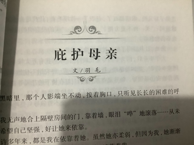 总是领盒饭的星星最新章节 免费小说 全文免费阅读 总是领盒饭的星星作品 话本小说网