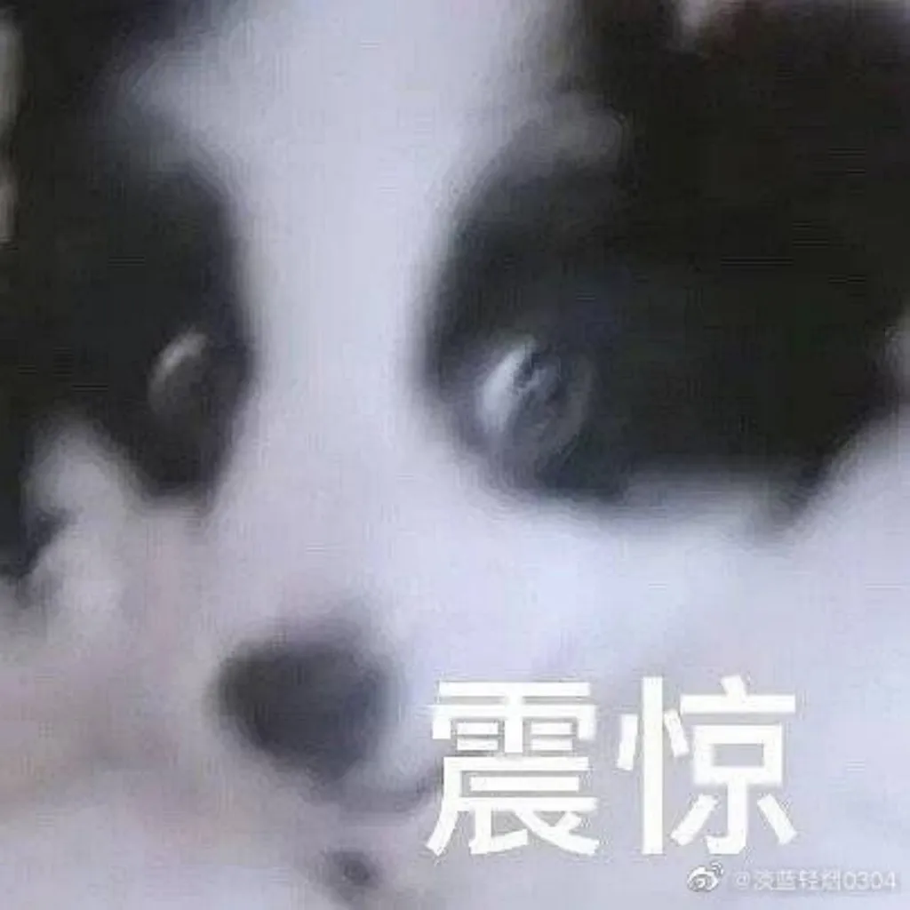 买笔筒附赠苏新皓，快来抢购吧【二】爱挖坑的兔子的画本故事 画本故事