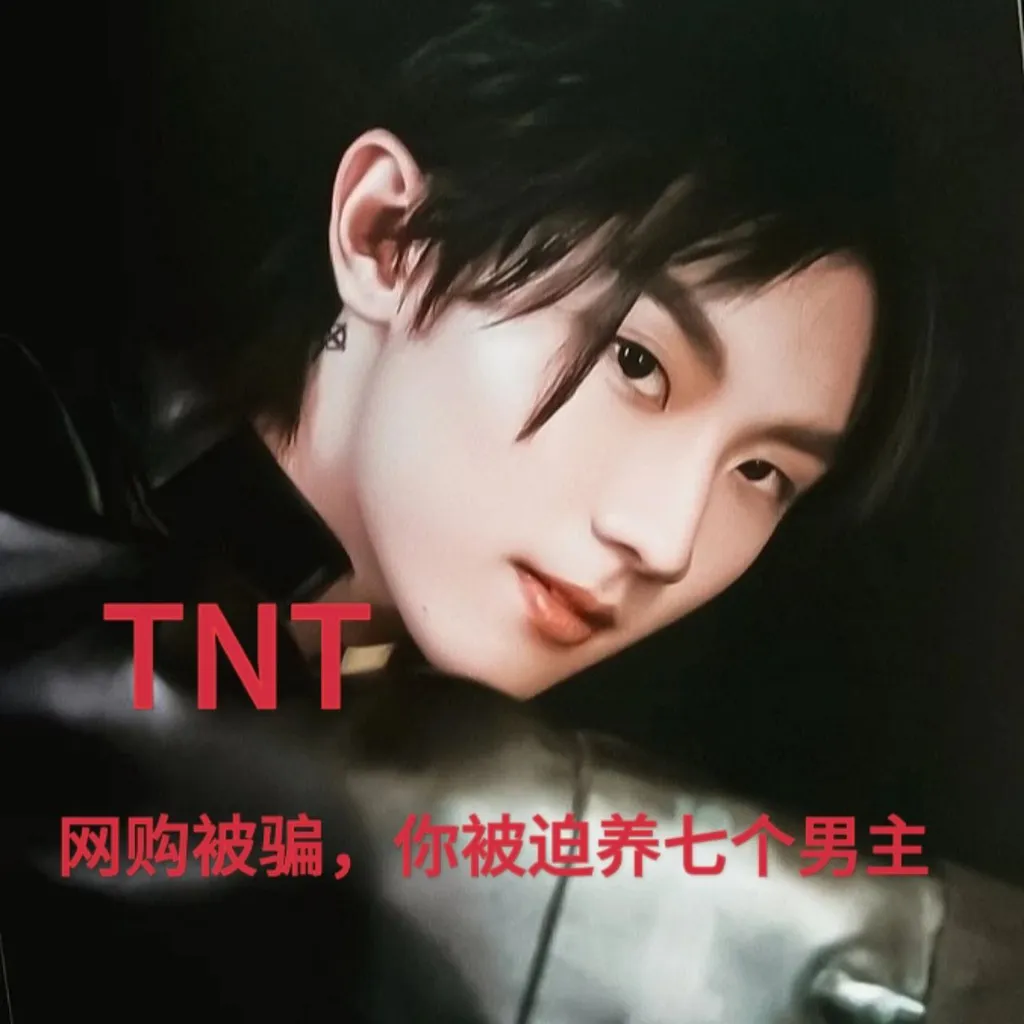 Tnt:网购被骗后,你养了七个男主5祁难的画本故事 画本故事